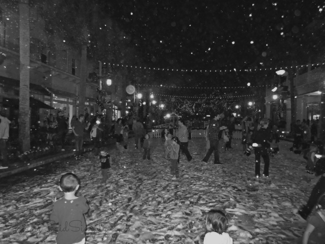 Florida Snow | Celebration is Now Snowing Nightly