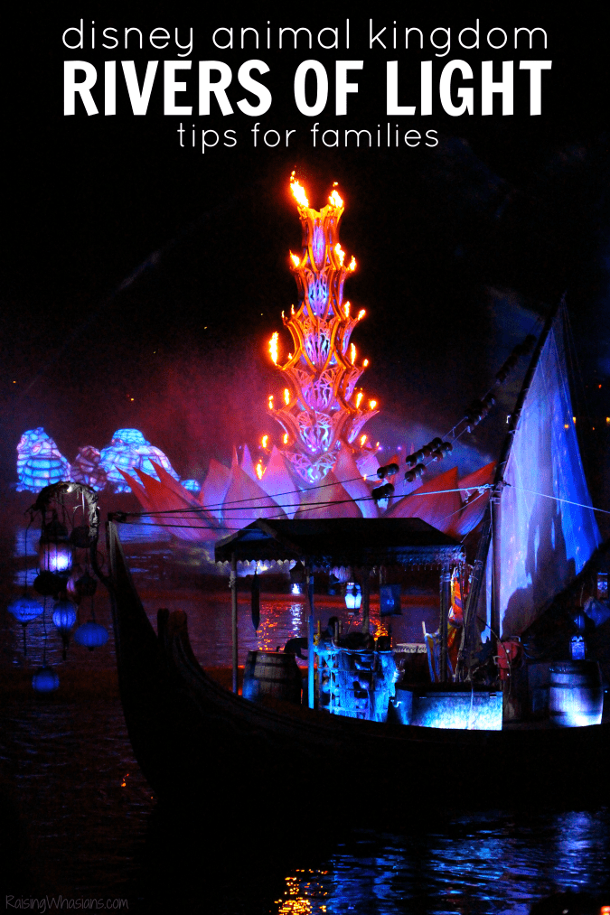 Best Tips for Seeing Rivers of Light at Disney Animal Kingdom + Video ...