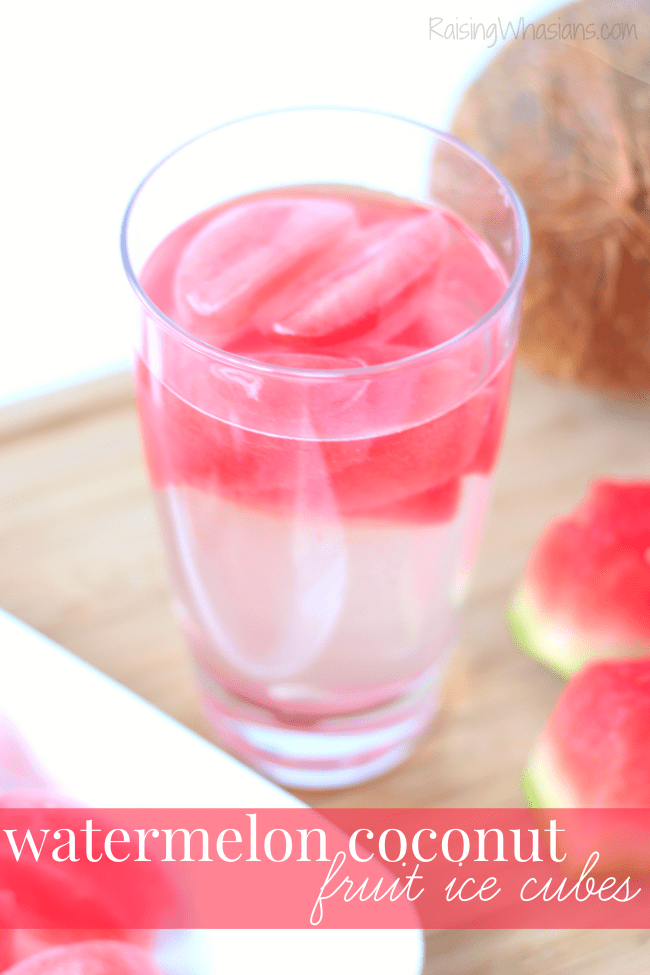 Watermelon Coconut Fruit Ice Cubes - Raising Whasians