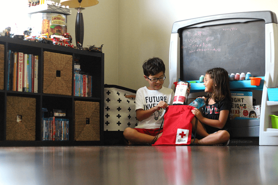 50+ Red Cross Volunteer Opportunities for Families - Raising Whasians